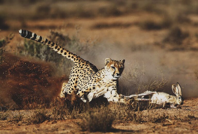 15 Reasons Why you should Visit Iran in 2020 - To Iran Tour