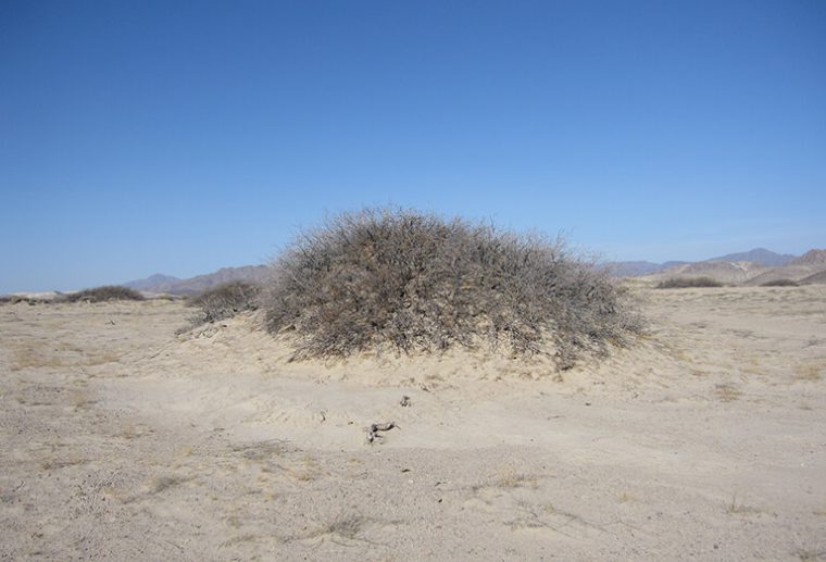 Lut Desert, A UNESCO World Heritage Site - To Iran Tour