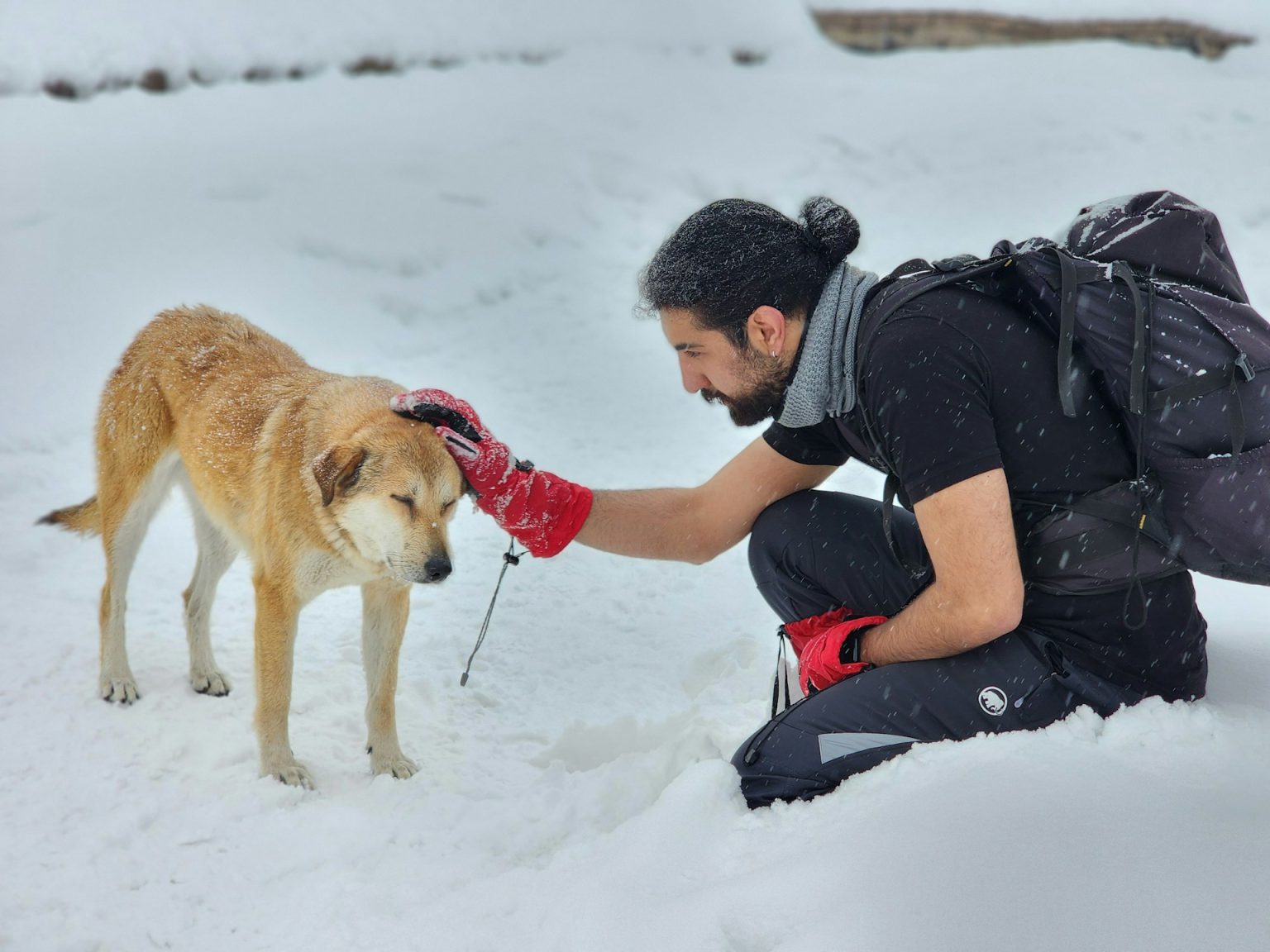 20 Things to Do in Winter in Iran - Things to do in Winter in Iran - To ...