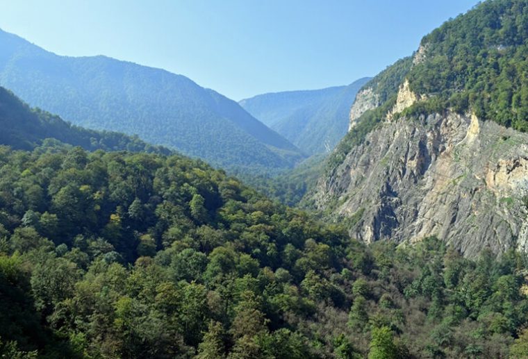 Hyrcanian Forests, One of the World’s Oldest Forests - To Iran Tour