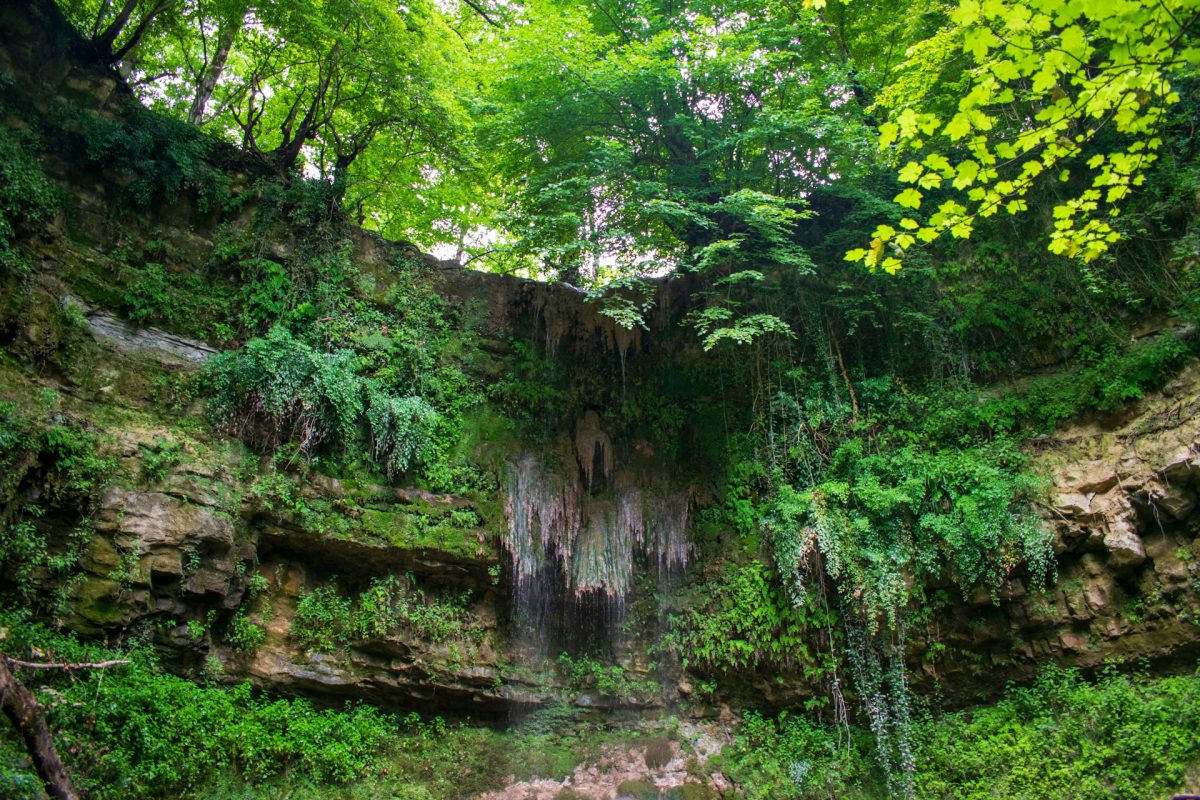 Hyrcanian Forest: One of the World’s Oldest Forests - To Iran Tour