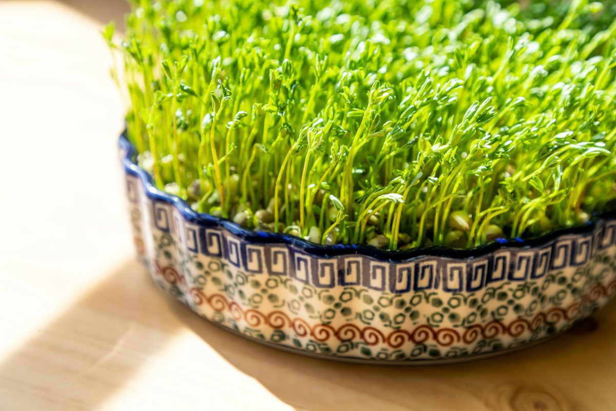 Haft Sin: The Persian Celebration of Spring - To Iran Tour