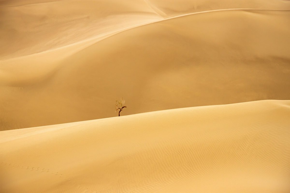 Varzaneh Desert: Traveling to Iran's Stunning Desert - To Iran Tour