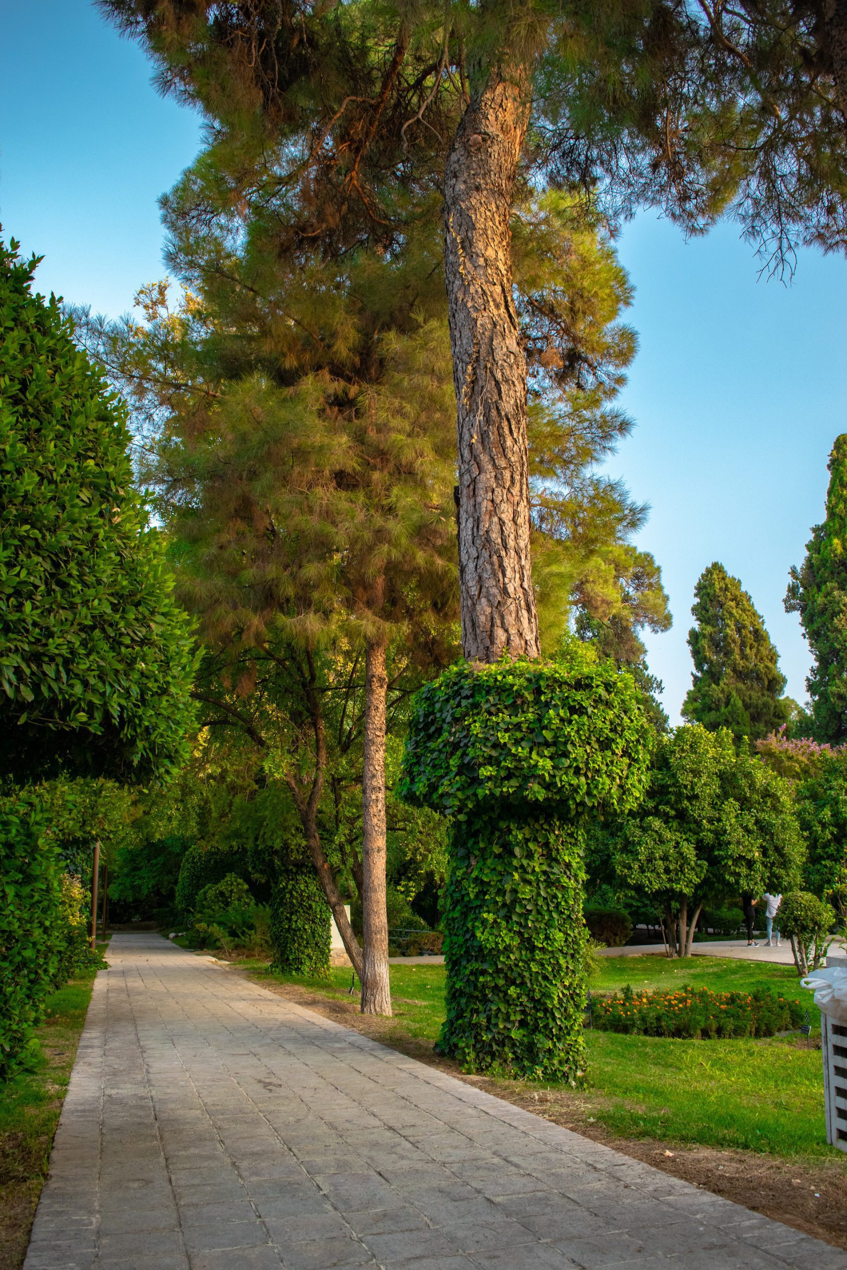Eram Garden | The Spectacular Oasis of Shiraz - To Iran Tour