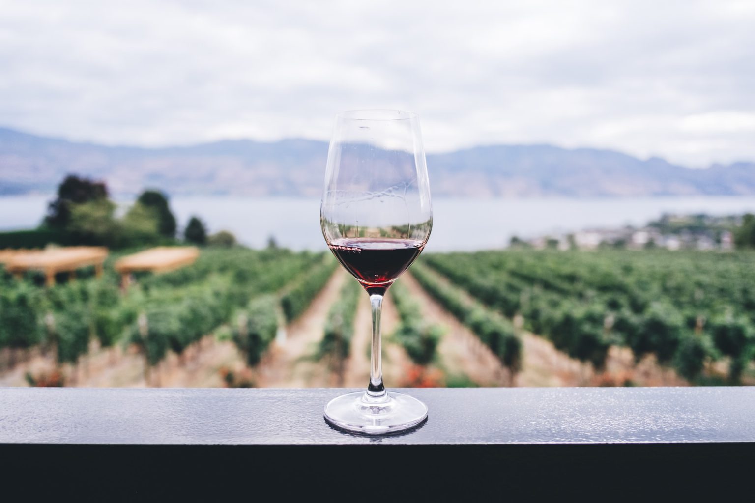 Alcohol in Iran: A Complete Guide for Tourists - To Iran Tour