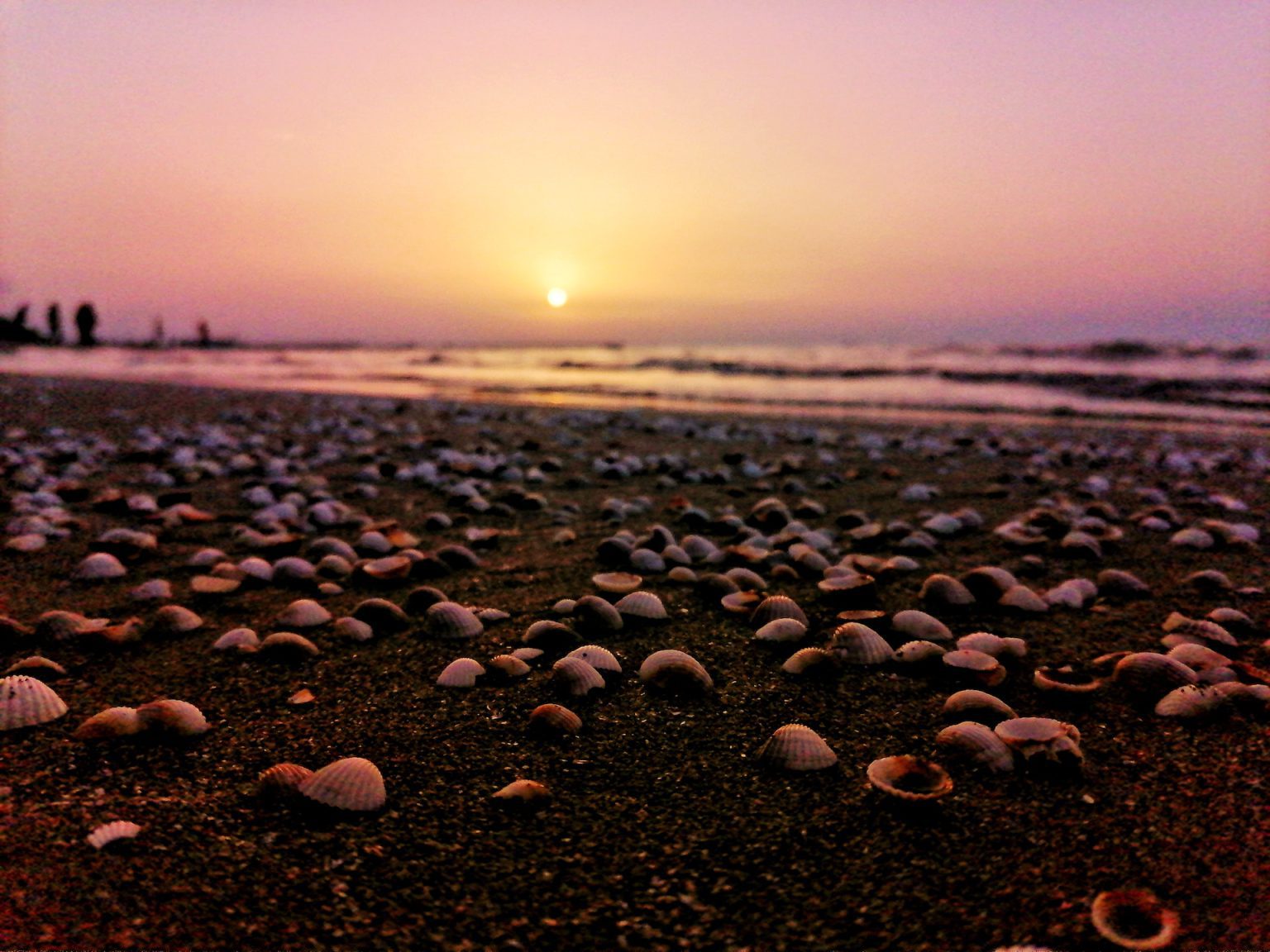 20 Best Beaches of Iran: A Journey to Remember - To Iran Tour