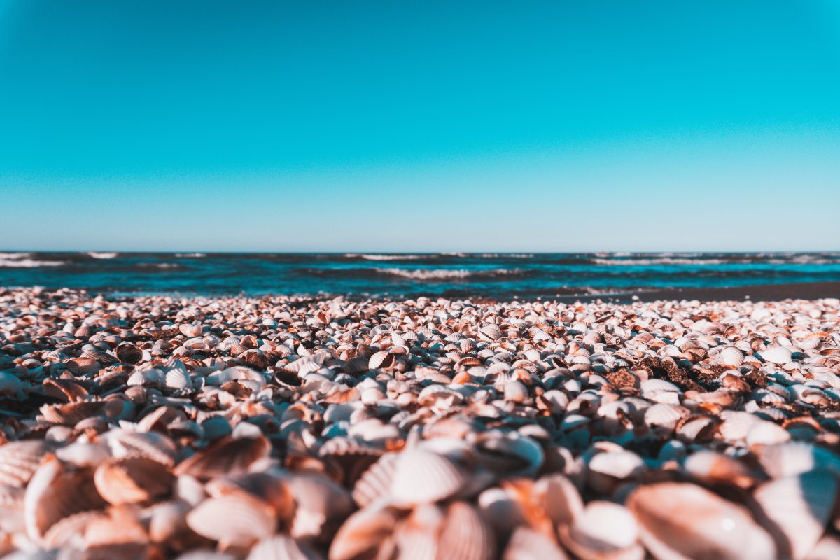 Best Bandar Anzali Guide: Travel to Iran's Coastal Wonderland - To Iran Tour