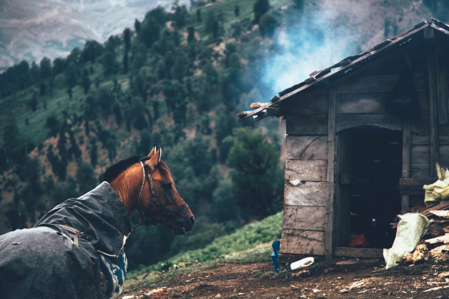 Masal, Iran: A Dreamlike Tranquility for Nature Lovers - To Iran Tour