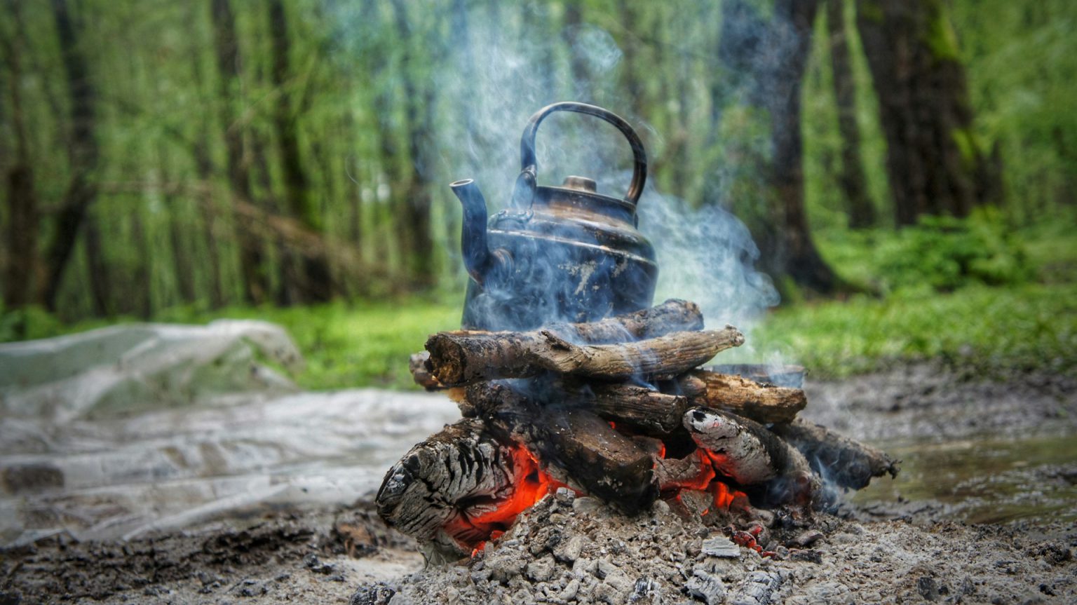 Sizdah Be Dar: Nature Day in Iranian Culture - To Iran Tour