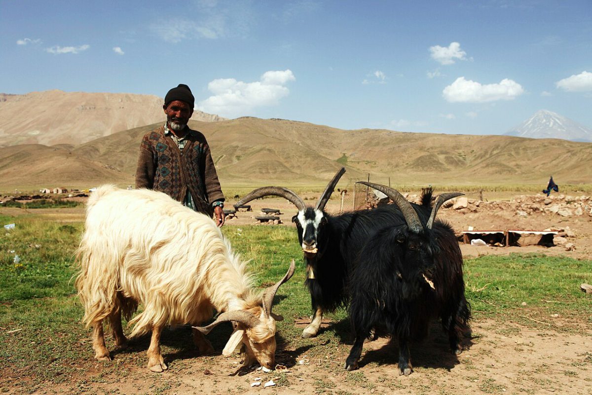 Iran Nomads: From History to Typology - To Iran Tour