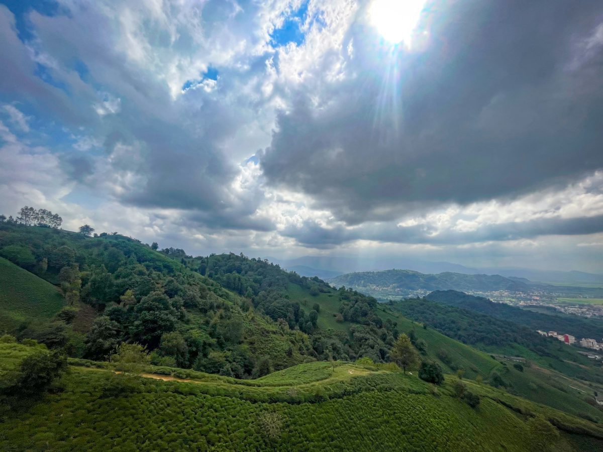 Lahijan: The City of Persian Tea Plantations - To Iran Tour