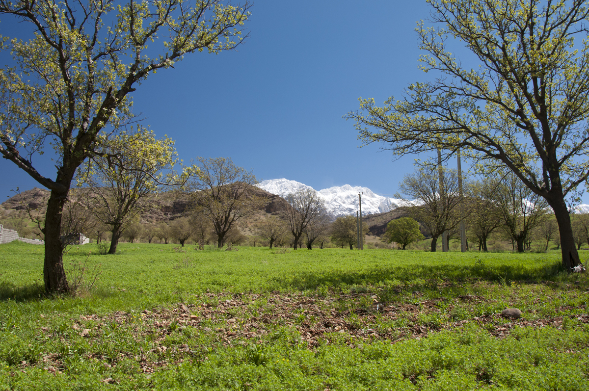 Dena Mountain: Summit Triumph - To Iran Tour