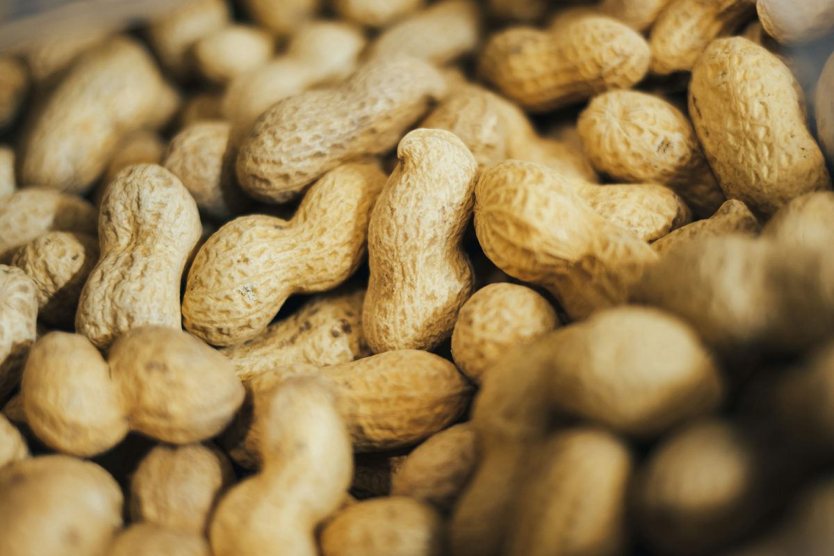 Persian Nuts: Staples in Your Diet - To Iran Tour